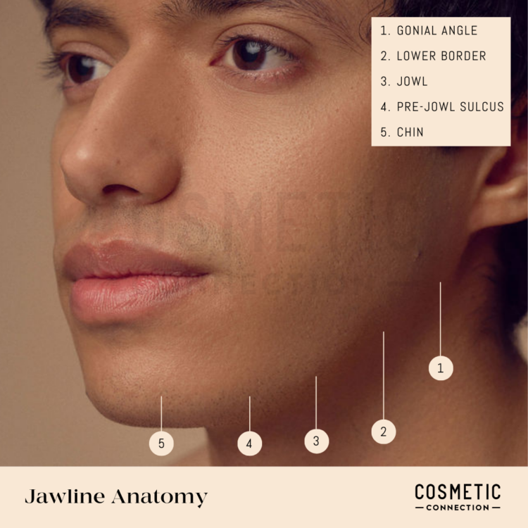 Achieving a Defined Jawline - Cosmetic Connection